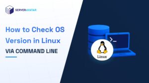 How to Check OS Version in Linux via Command Line