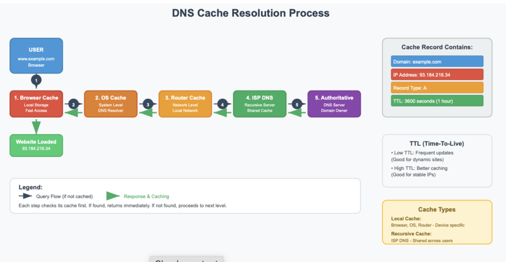 What Is DNS Cache? A Simple Explanation By ServerAvatar