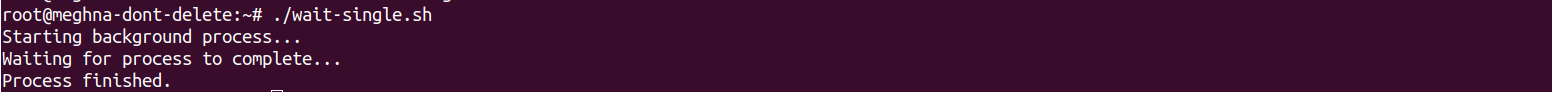 How to Use the wait Command in Bash