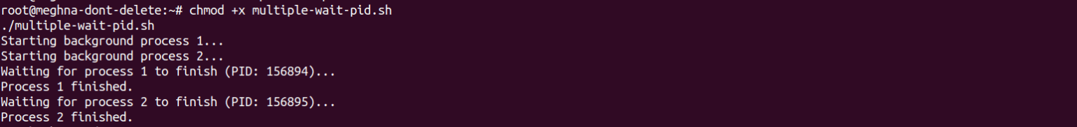 How to Use the wait Command in Bash