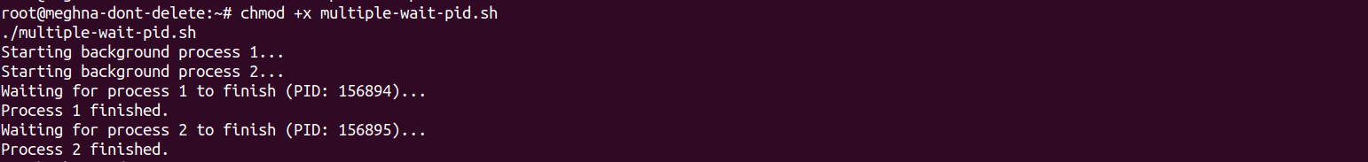 How to Use the wait Command in Bash